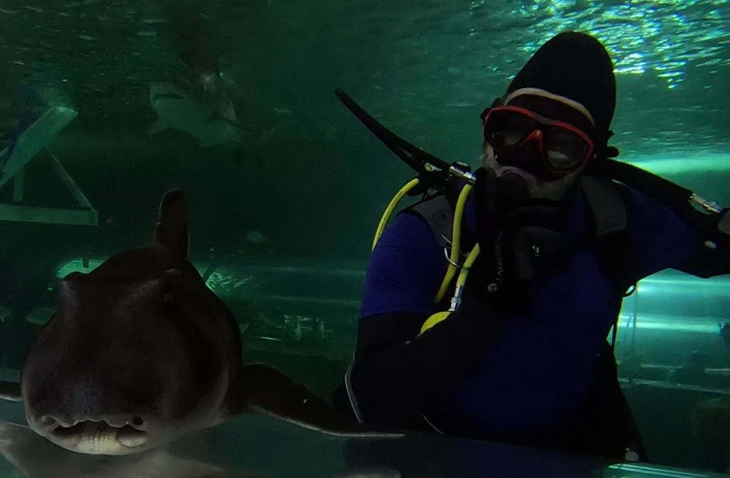 the scuba gym's historic splash